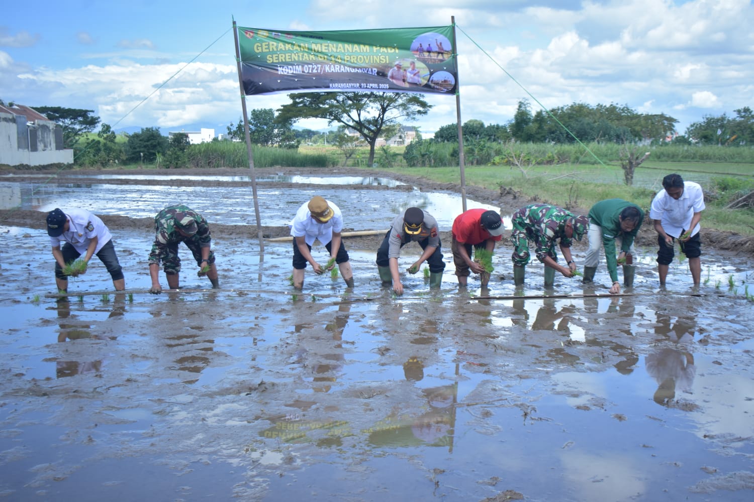 Kabupaten Karanganyar | Gerakan Tanam Padi Serentak 14 Provinsi, Mendukung Ketahanan Pangan ...